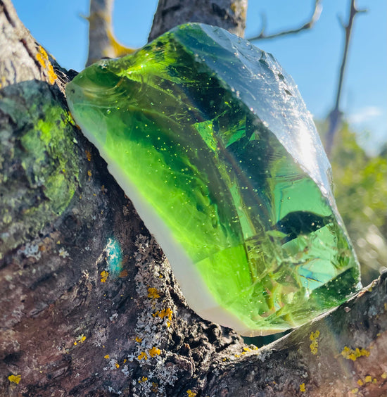 ANDARA• Amazonia & Mage de la Transcendence / 261 g ~ Nouvelle Générat ...