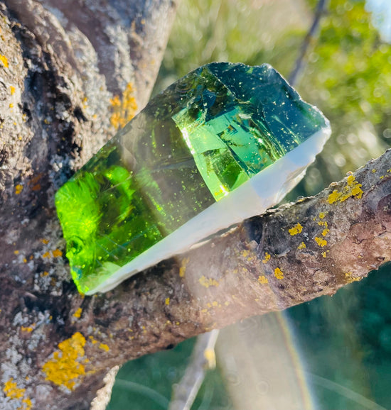 ANDARA• Amazonia & Mage de la Transcendence / 261 g ~ Nouvelle Générat ...